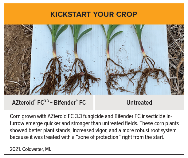 Vive's Corn Solutions